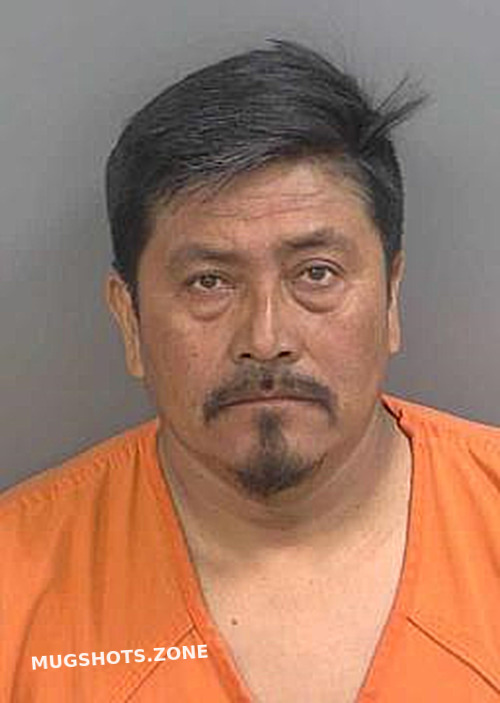 SOSA-RAMOS LUIS 04/12/2025 - Collier County Mugshots Zone