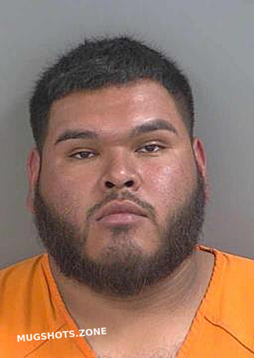 RAMIREZ ETHAN ANTHONY 04/19/2025 - Collier County Mugshots Zone