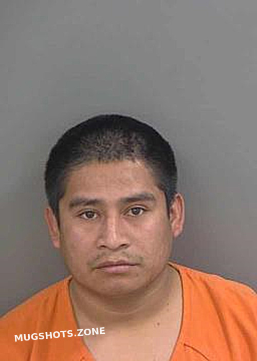 HERNANDEZVELASQUEZ ALEX 04/24/2025 - Collier County Mugshots Zone