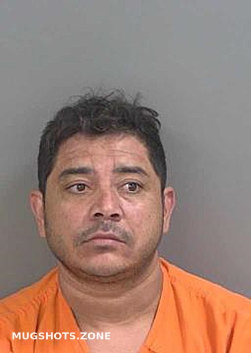 CARDENASHERNANDEZ JOSE RENE 04/25/2025 - Collier County Mugshots Zone