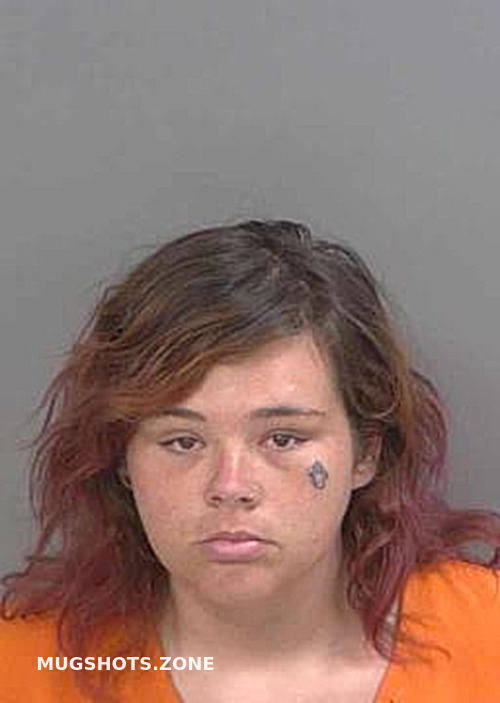 HAMILTON MEGAN RENEE 04/28/2025 - Collier County Mugshots Zone