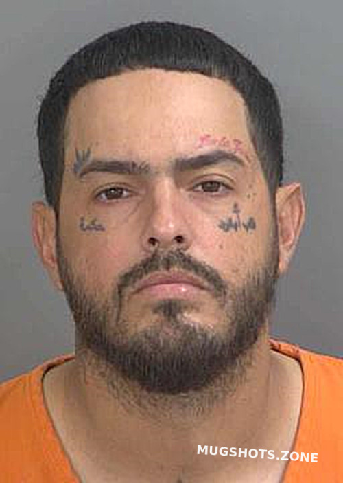 PAGAN JULIO CESAR 05/01/2025 - Collier County Mugshots Zone
