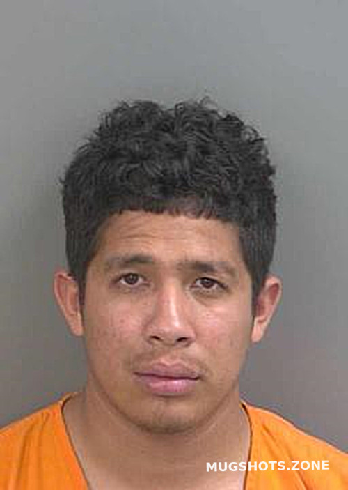 ALONSODELGADO JOEL 05/03/2025 - Collier County Mugshots Zone