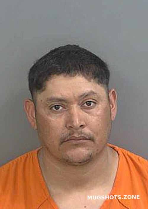 MADRIGALHERNANDEZ COSME DAMIAN 05/08/2025 - Collier County Mugshots Zone