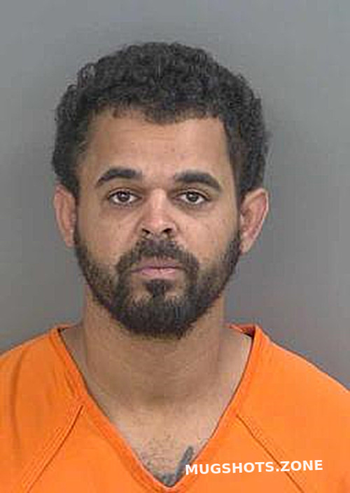 REGALADO BRIAN 05/15/2025 - Collier County Mugshots Zone