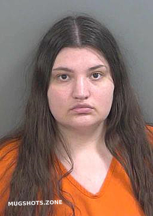 YEE AVA 05/20/2025 - Collier County Mugshots Zone