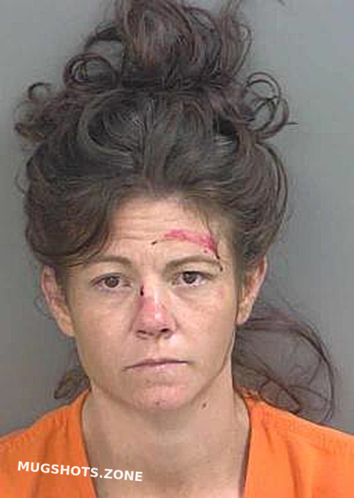 BROWN LISA 05/22/2025 - Collier County Mugshots Zone