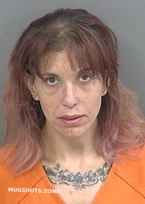 FUNICELLO JESSICA LYNN 05/23/2025 - Collier County Mugshots Zone