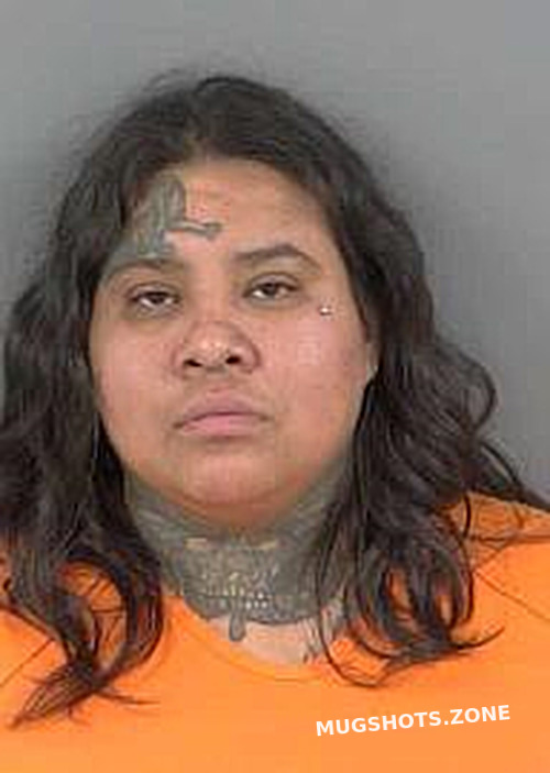 BILLIE CHELSEA NANCY LAUREN 06/04/2025 - Collier County Mugshots Zone