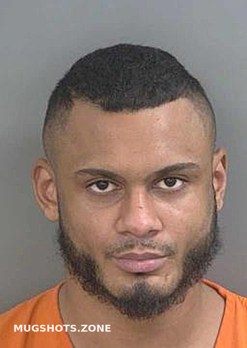 SAMPLES DAVION 06/06/2025 - Collier County Mugshots Zone