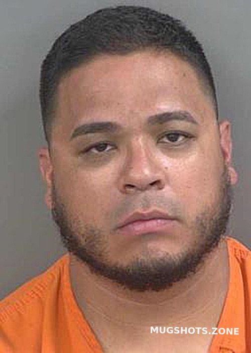ALVARADO RONY 06/08/2025 - Collier County Mugshots Zone