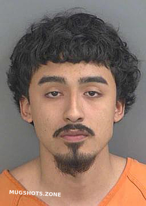 MENDEZ BRUCE BRANDON 06/29/2025 - Collier County Mugshots Zone