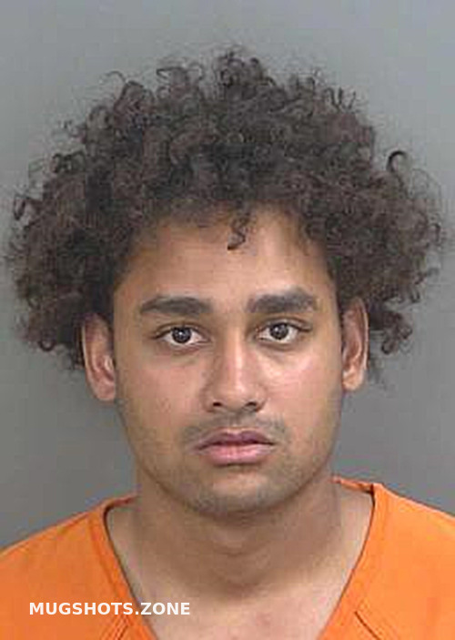 CARLSON DAVID JOEL 07/22/2025 - Collier County Mugshots Zone