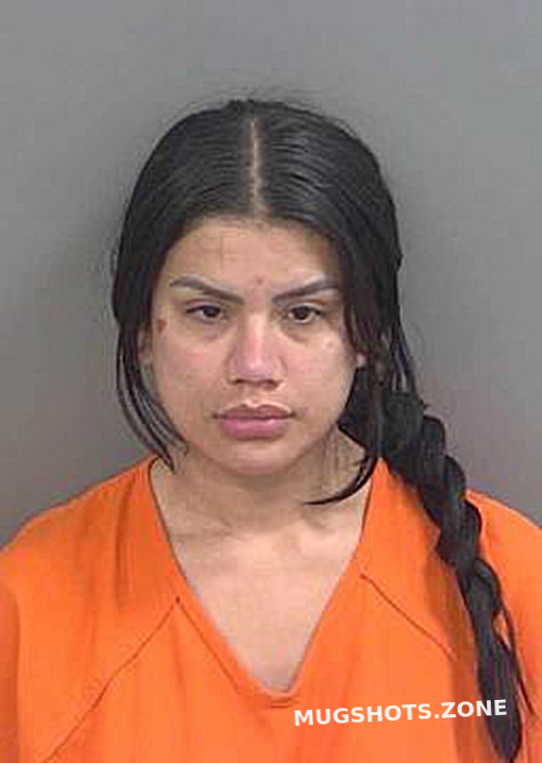 RAMOS KRISTA MARIE 07/29/2025 - Collier County Mugshots Zone