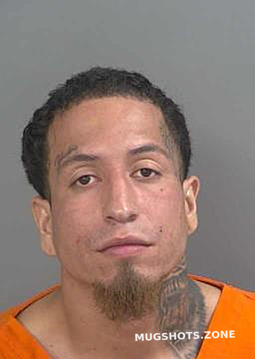 YANEZ LESTER FABIAN 08/11/2025 - Collier County Mugshots Zone