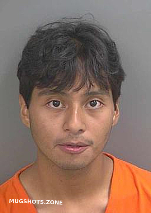 RODRIGUEZ DANIEL - JR 10/04/2025 - Collier County Mugshots Zone