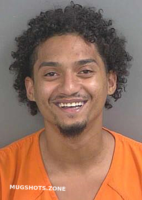 PICHARDO CHRISTOPHER RAINIEL 10/10/2025 - Collier County Mugshots Zone