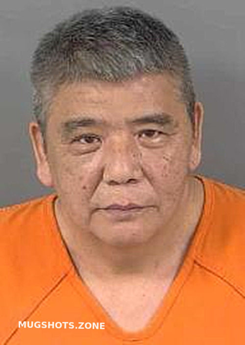 KIM JAMES 10/15/2025 - Collier County Mugshots Zone