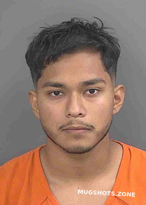 RUEDARAMIREZ WILSON 11/04/2025 - Collier County Mugshots Zone