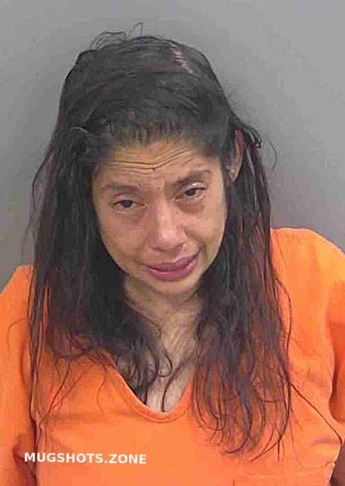 PEDROZA-GARCIA IVONNE PATRICIA 11/05/2025 - Collier County Mugshots Zone