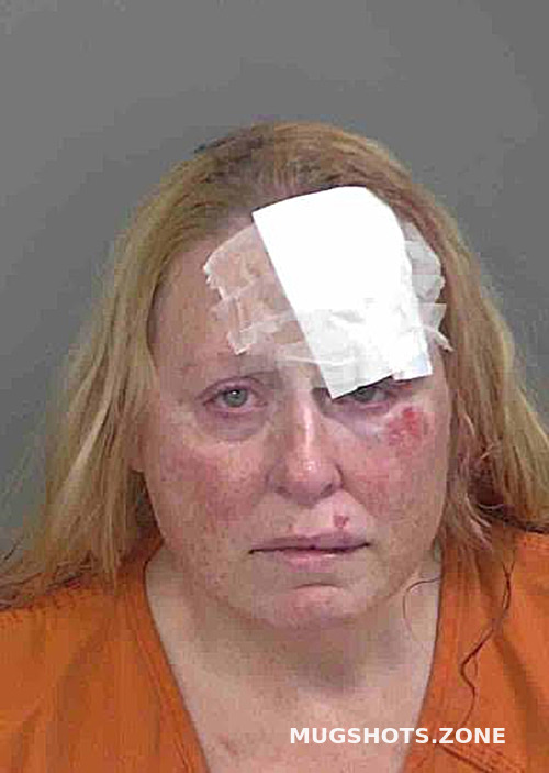 VOLO RACHEL LYNN 11/28/2025 - Collier County Mugshots Zone