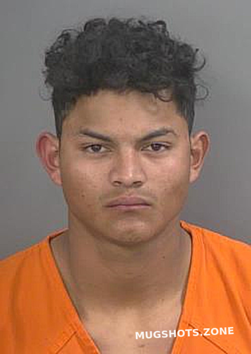 GAMBOALAMPSON SPIGY OCTAVIO 12/31/2025 - Collier County Mugshots Zone