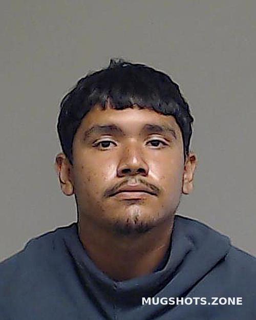 Nathan Torres's Instagram, Twitter & Facebook on IDCrawl