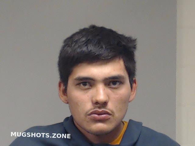 BERMUDEZ-ALANIZ EDGAR 11/12/2021 - Collin County Mugshots Zone
