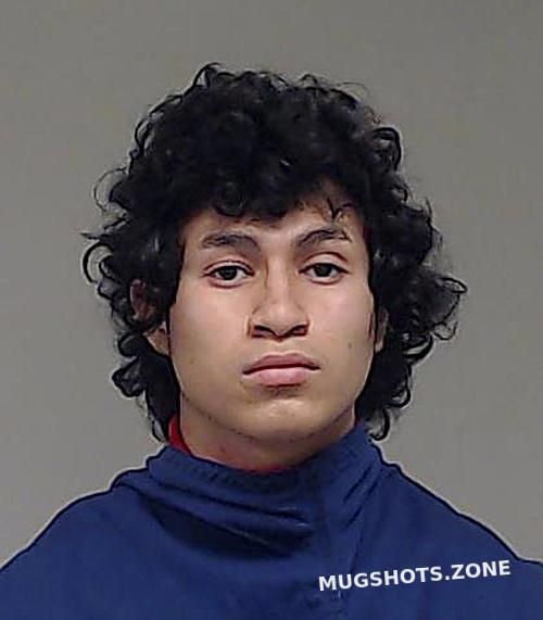 CASTILLO ANTHONIS SANTOS 12/17/2021 - Collin County Mugshots Zone