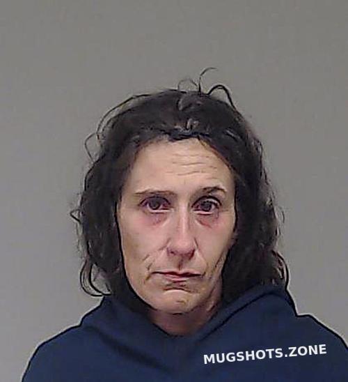 TINSLEY ANGELA 02/11/2022 - Collin County Mugshots Zone