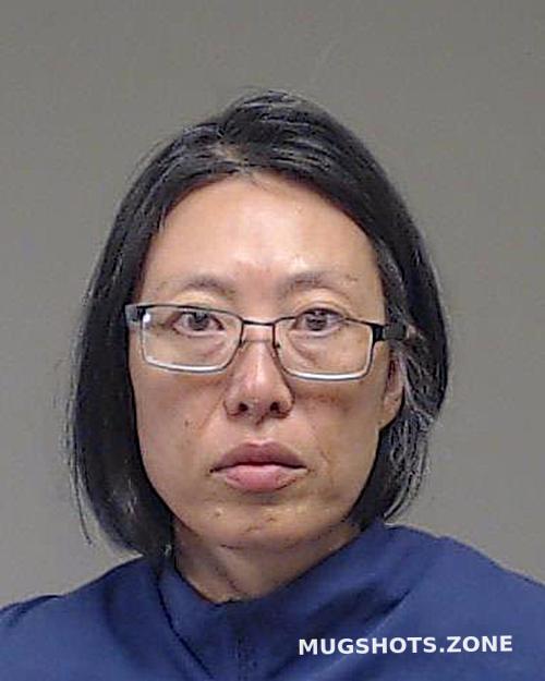ZHOU XIA 03/31/2022 - Collin County Mugshots Zone