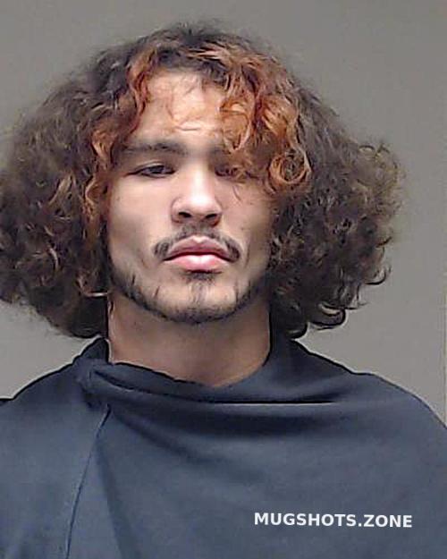 DANZI MARIO MICHAEL 09/29/2022 - Collin County Mugshots Zone