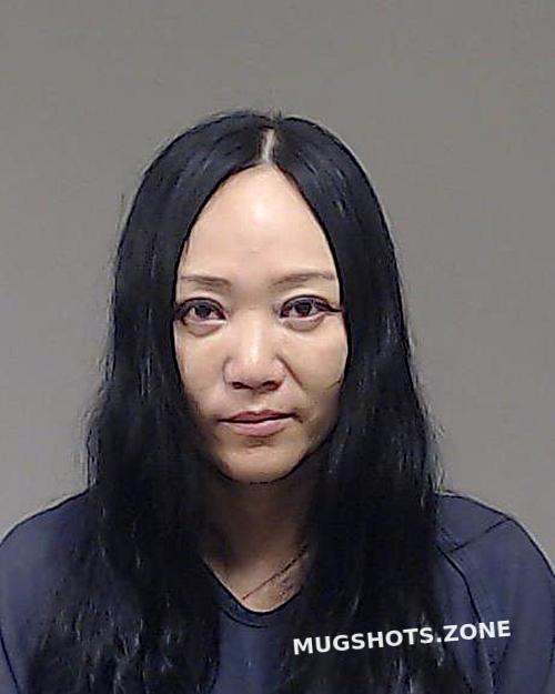 LIU LI 10/06/2022 - Collin County Mugshots Zone