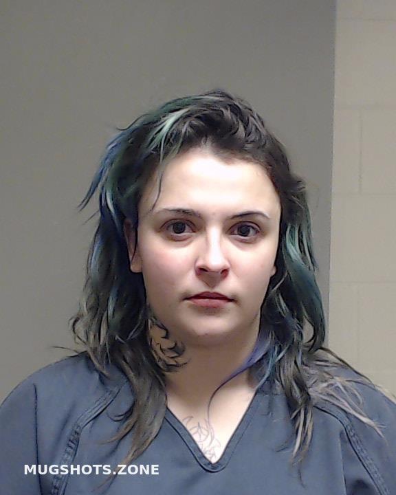 ANDERSEN VALERIE KATE 11/15/2022 - Collin County Mugshots Zone