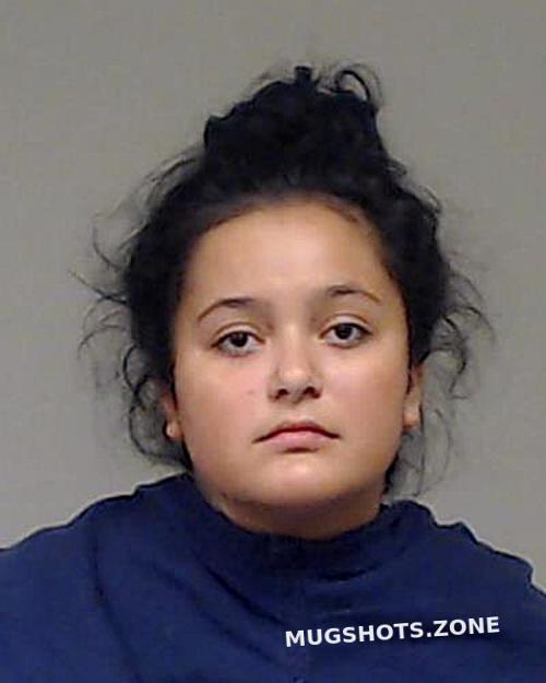 CHATMAN ELLEN DANELLE 11/17/2022 - Collin County Mugshots Zone