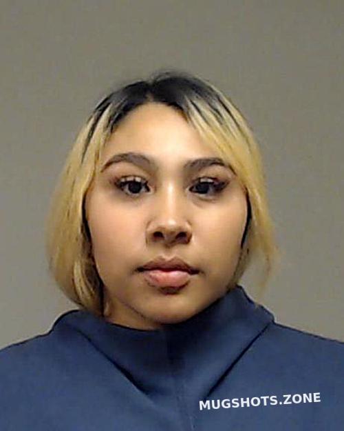 Luna Elaine 01 04 2023 Collin County Mugshots Zone