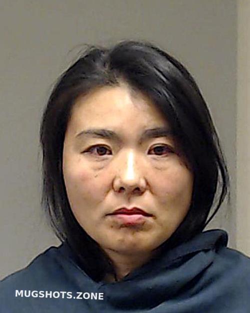 LI JINYI 01/08/2023 - Collin County Mugshots Zone