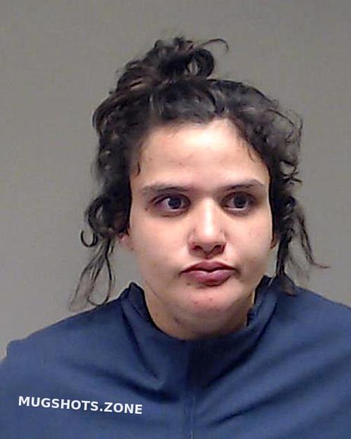 REEH RACHEL ANN 01/21/2023 - Collin County Mugshots Zone