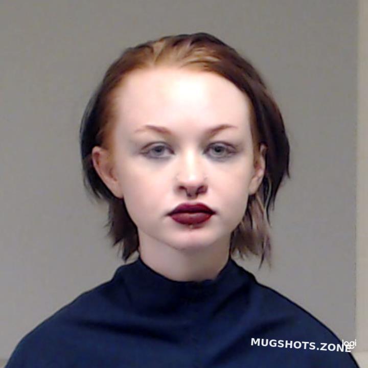 PALMER ABIGAIL CLAIRE 02/23/2023 - Collin County Mugshots Zone