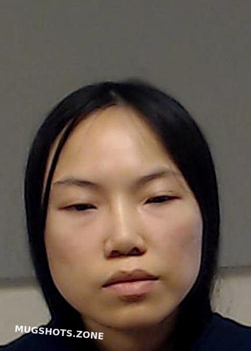 TRAN VY BUI 03/11/2023 - Collin County Mugshots Zone