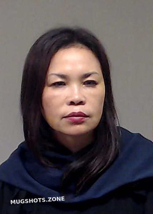 Wang Jing 03 31 2023 Collin County Mugshots Zone