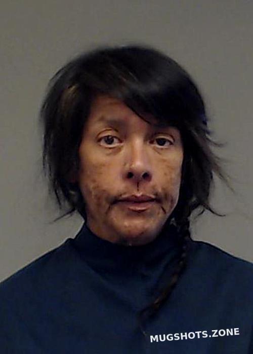 THOMAS ELIZABETH 04/25/2023 - Collin County Mugshots Zone