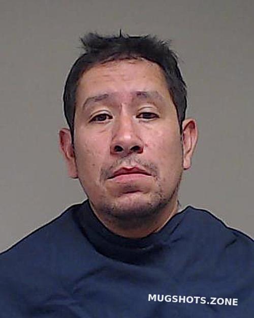 FLORES DANIEL MICHAEL 06/08/2023 - Collin County Mugshots Zone