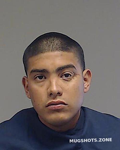 CASTILLO ALVARADO ELMER ISRAEL 06/15/2023 - Collin County Mugshots Zone