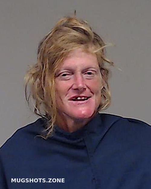 RADKE HEATHER MICHELLE 08/25/2023 - Collin County Mugshots Zone