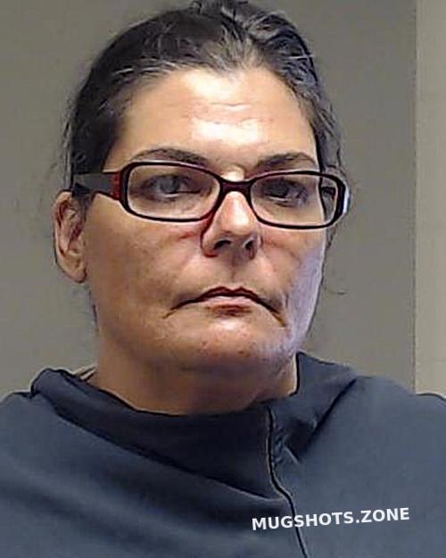 POTTER DANIELLE ELIZABETH 08/29/2023 - Collin County Mugshots Zone