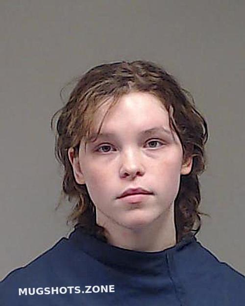 GIBSON HAILEY MICHELLE 09/08/2023 - Collin County Mugshots Zone