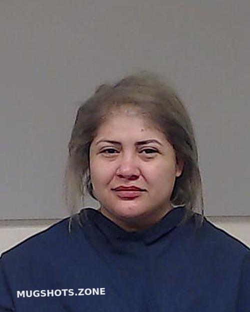 BARITEAU GINA KATHLEEN 09/09/2023 - Collin County Mugshots Zone