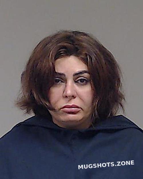 KARIMI SABA 10/22/2023 - Collin County Mugshots Zone