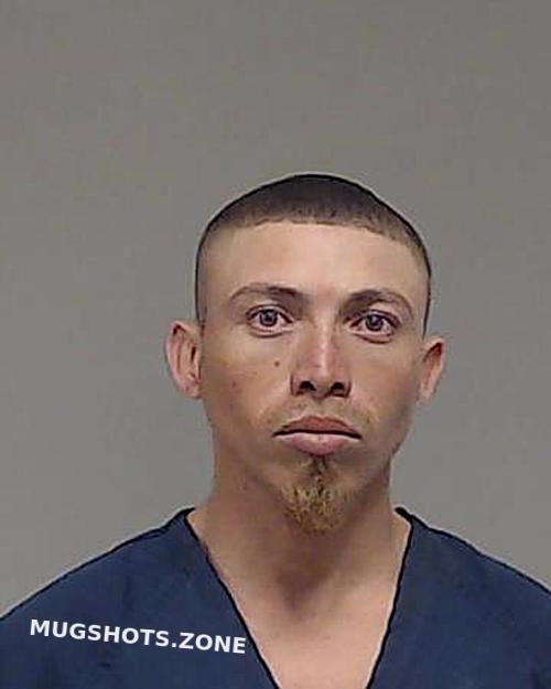 ALVAREZ DENIS ROLANDO 10/23/2023 - Collin County Mugshots Zone